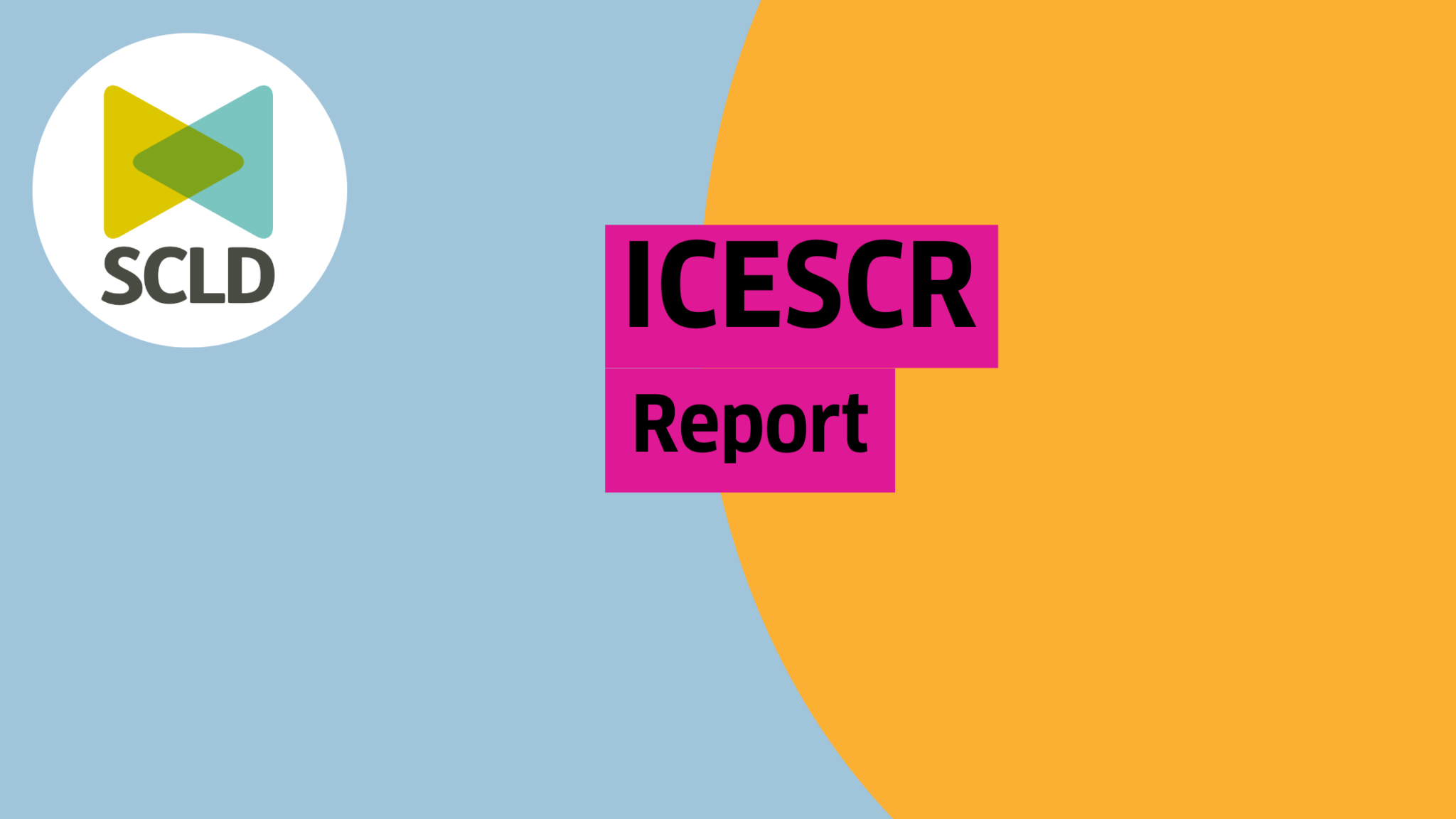 ICESCR Report - SCLD