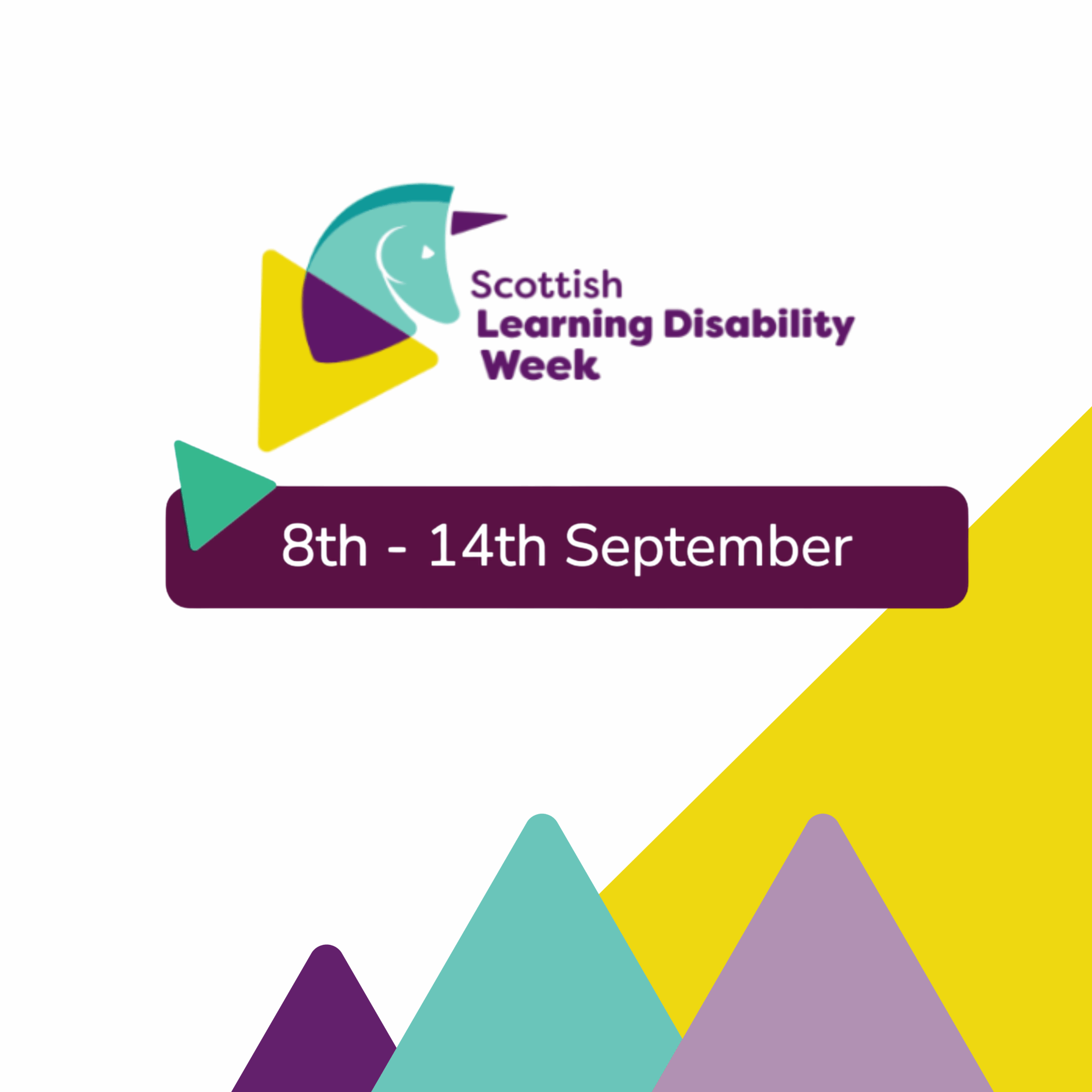 The Scottish Commission for People with Learning Disabilities - SCLD